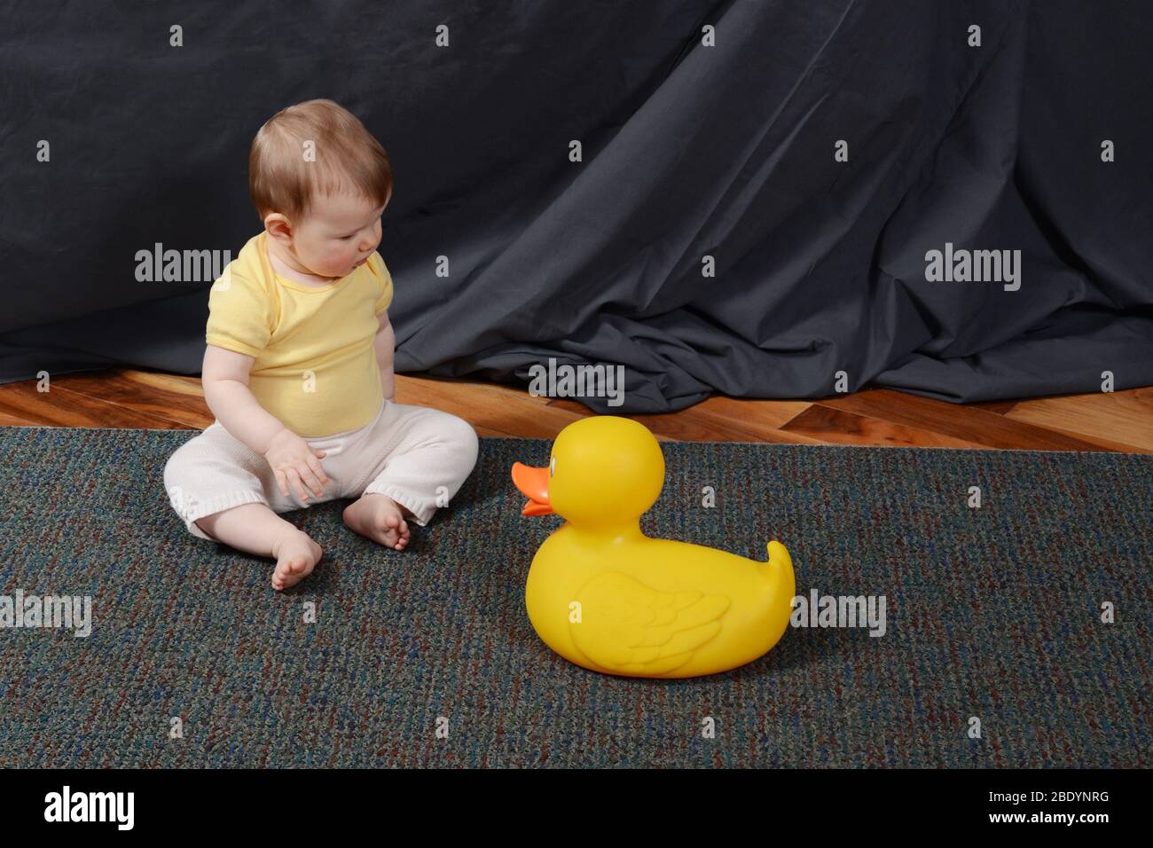 Object permanence, 1 of 6 Stock Photo - Alamy