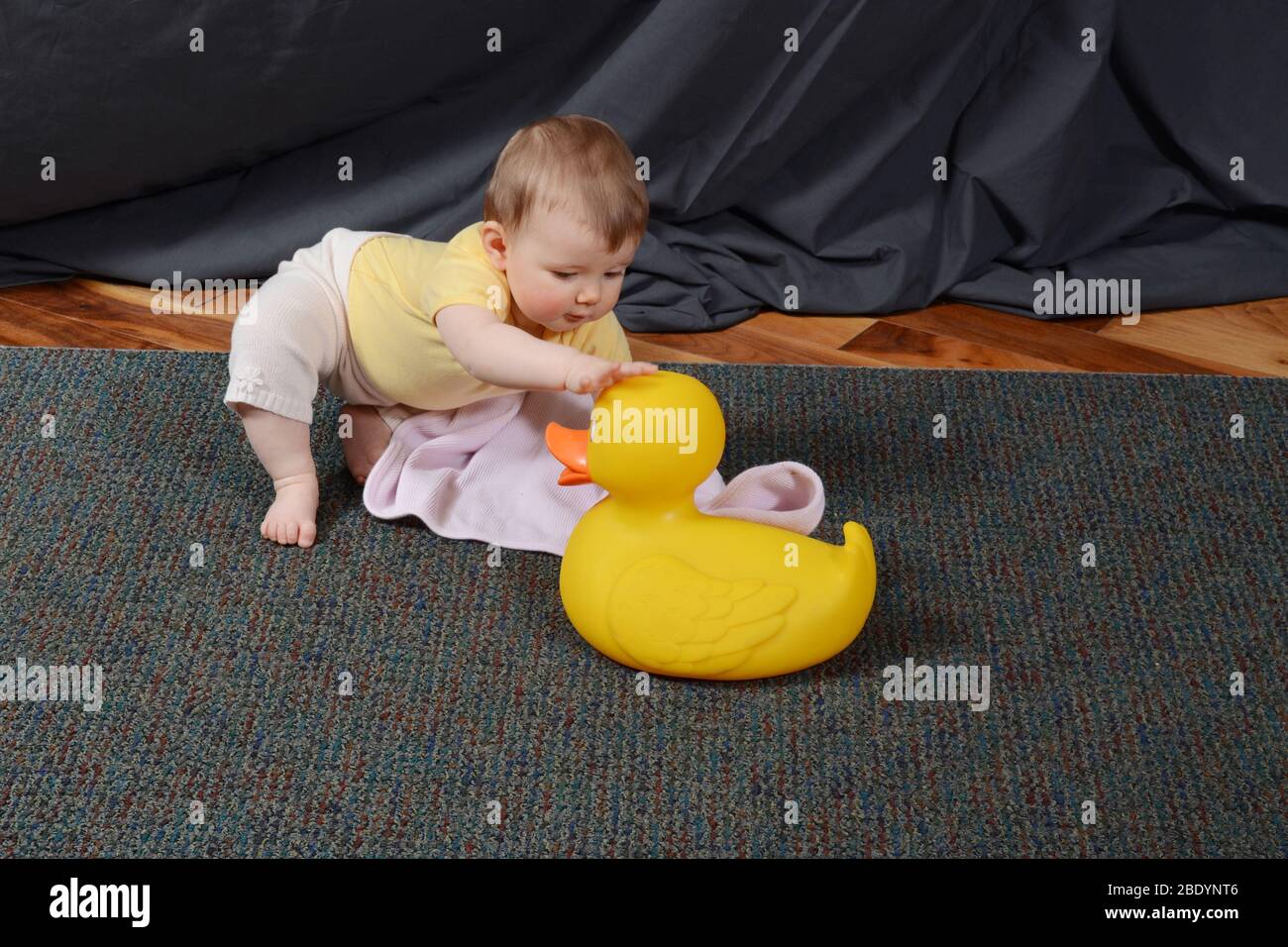 Object of permanence hi-res stock photography and images - Alamy