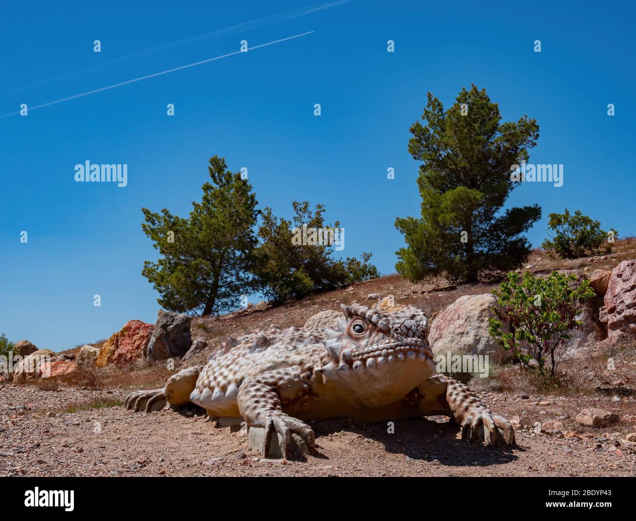 Desert horned lizard statue in Nature Discovery Trail and Rock Garden ...