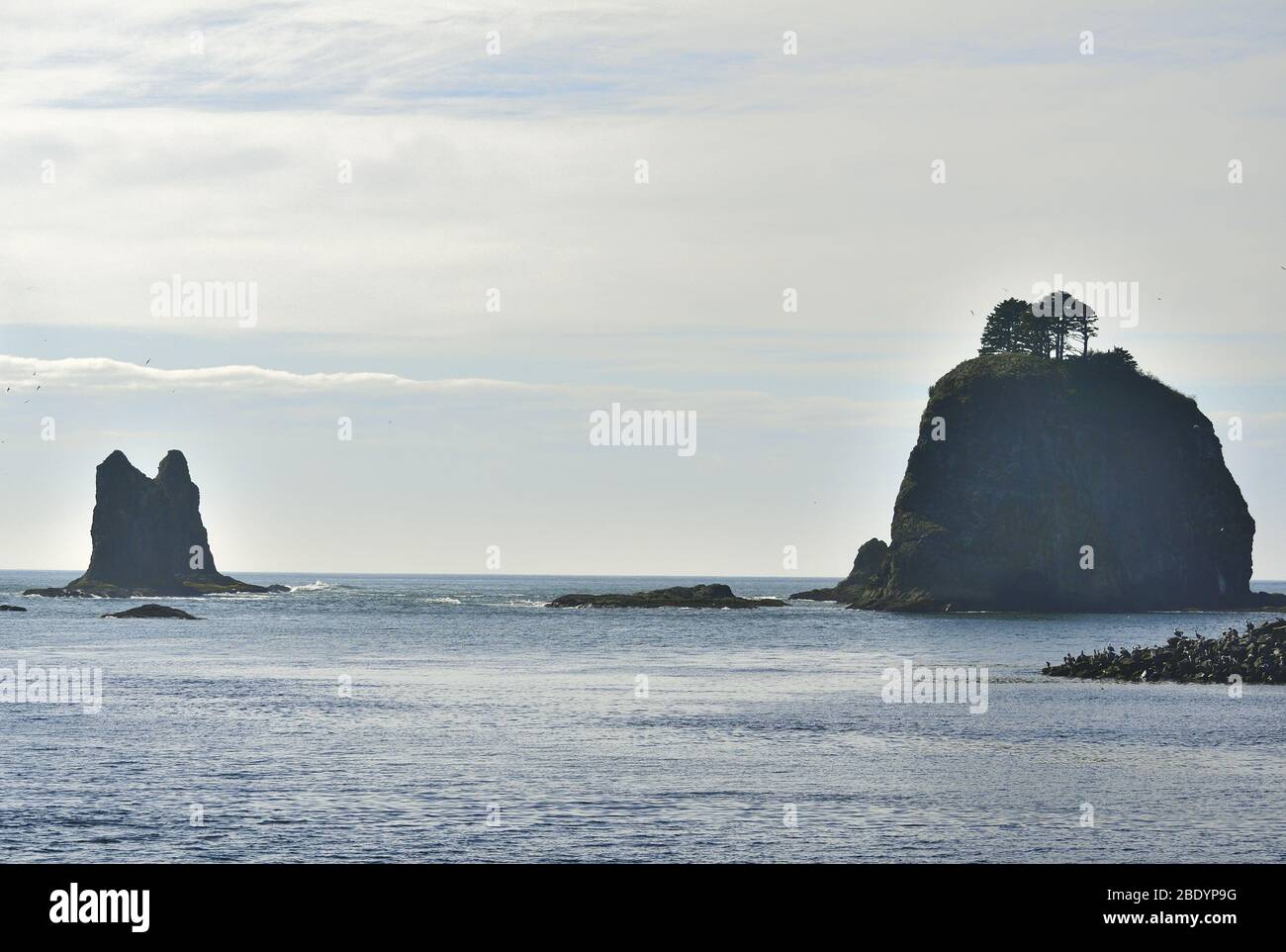 Washington olympic peninsula river hi-res stock photography and images ...