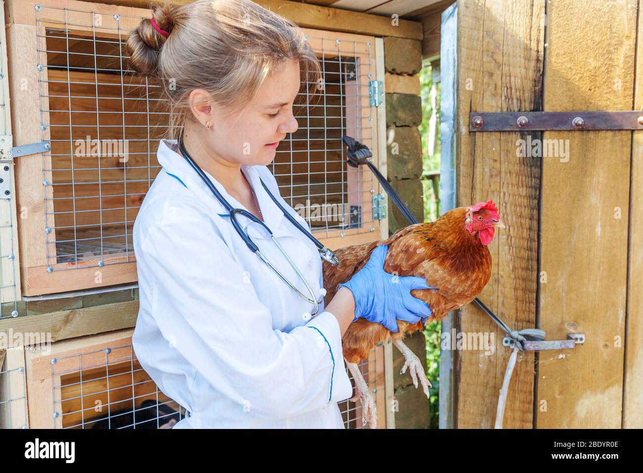 Happy young veterinarian woman with stethoscope holding and examining ...