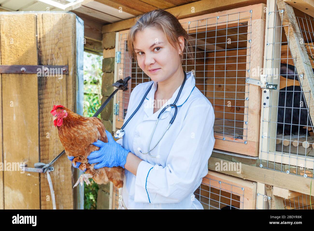 Happy young veterinarian woman with stethoscope holding and examining ...