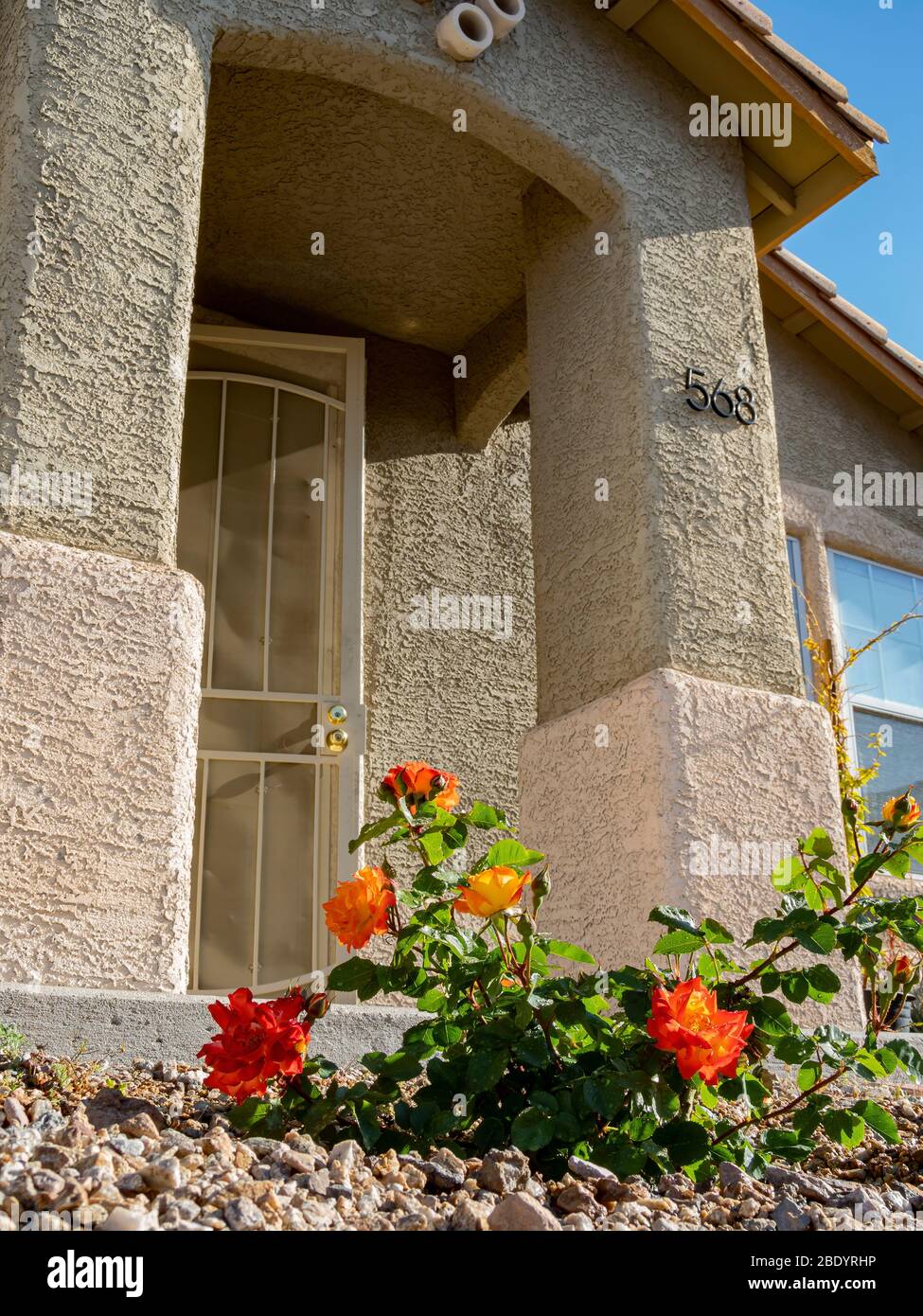 Dichromatic color hi-res stock photography and images - Alamy