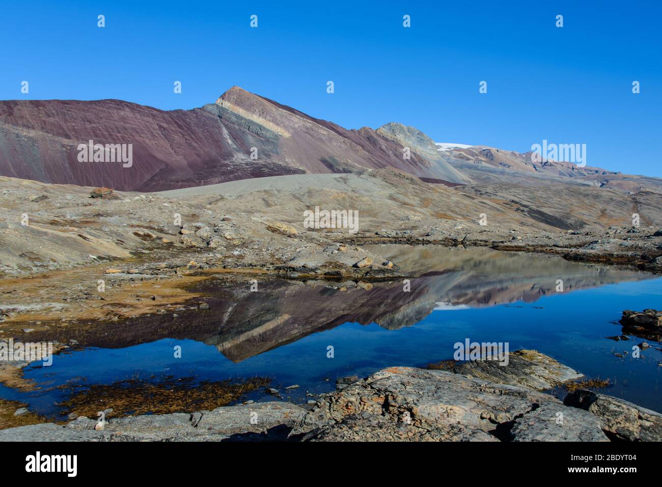Greenland landscape with beautiful coloured rocks Stock Photo - Alamy