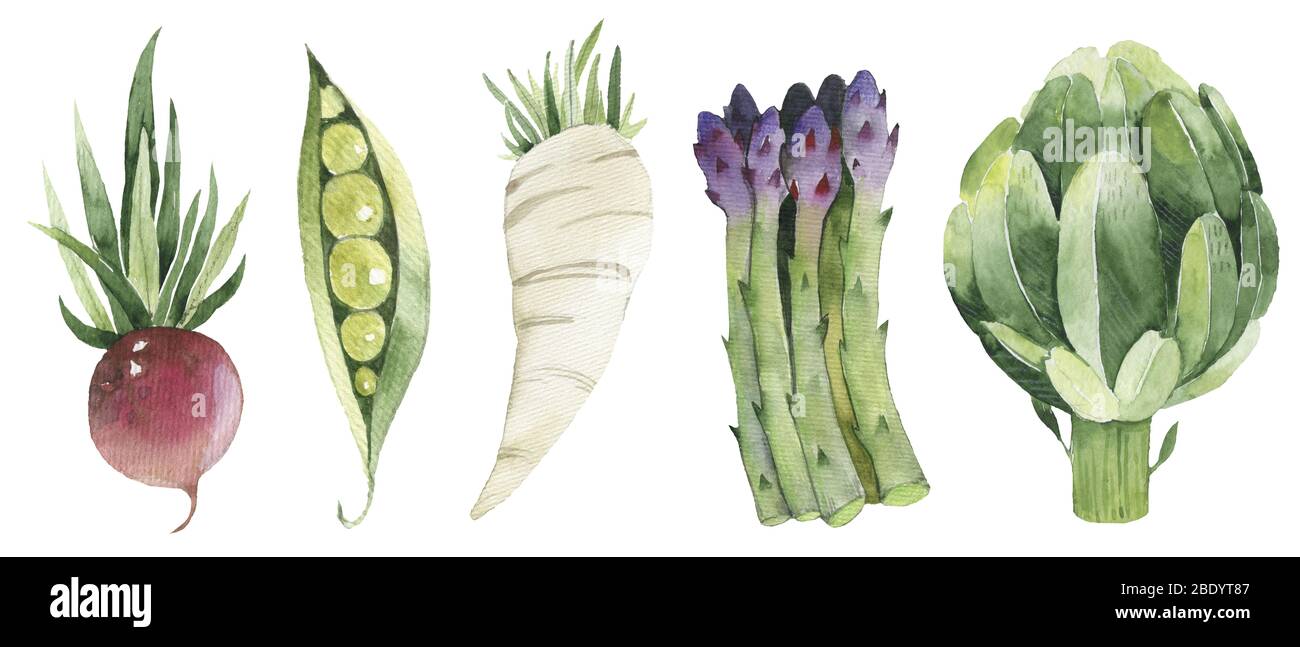 Set of fresh vegetables white paper white paper Stock Photo - Alamy