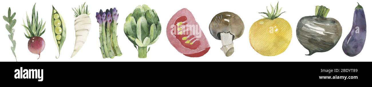 Border design fresh vegetables illustration hi-res stock photography ...