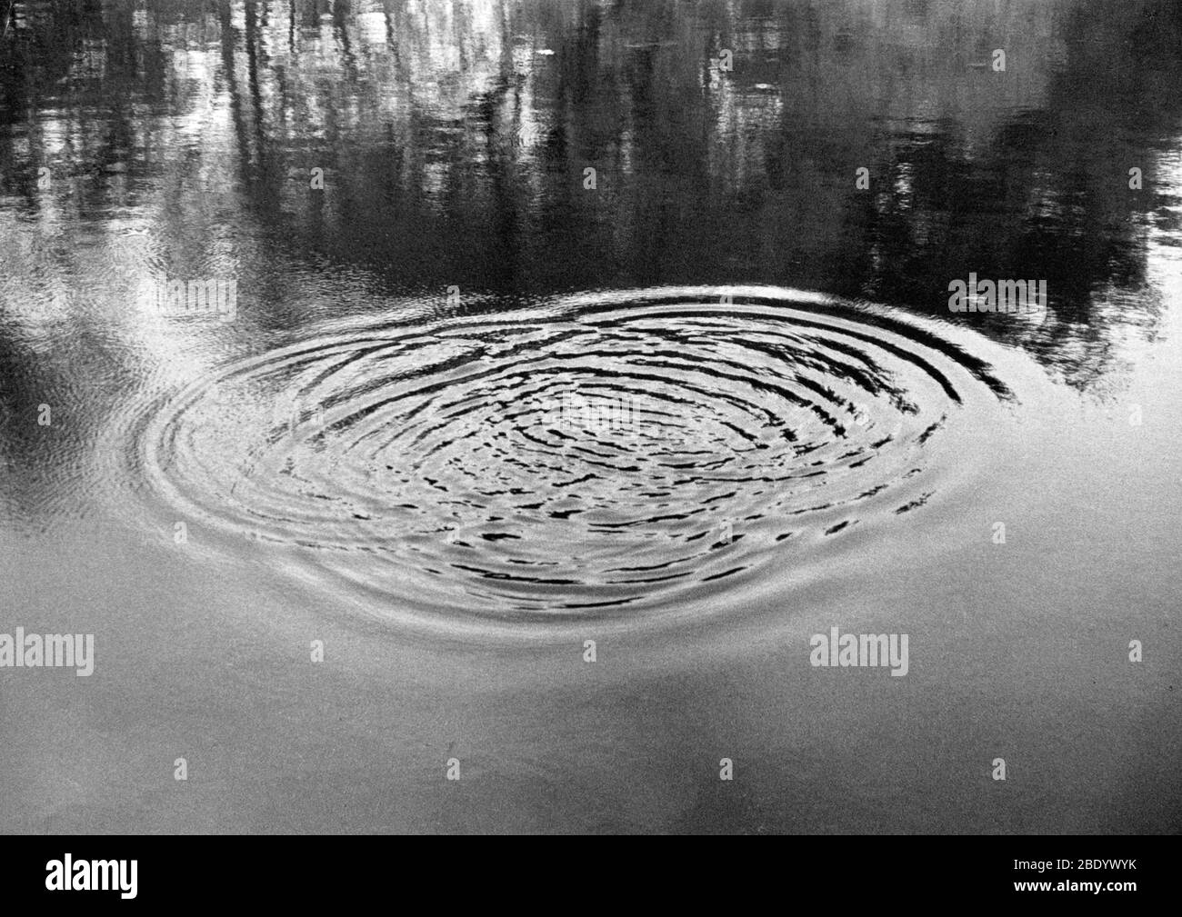 Surface tension of water hi-res stock photography and images - Alamy
