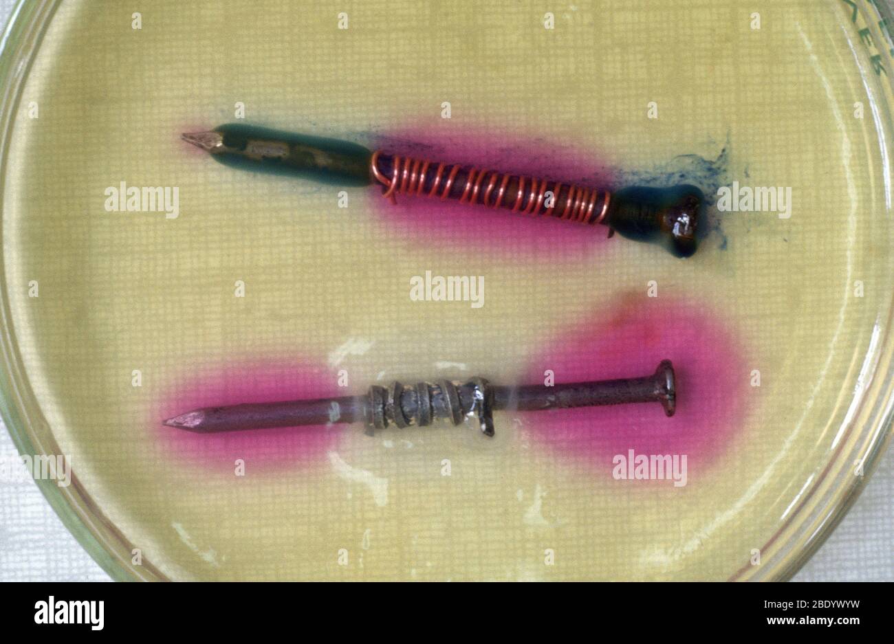 Copper oxidation experiment hi-res stock photography and images - Alamy