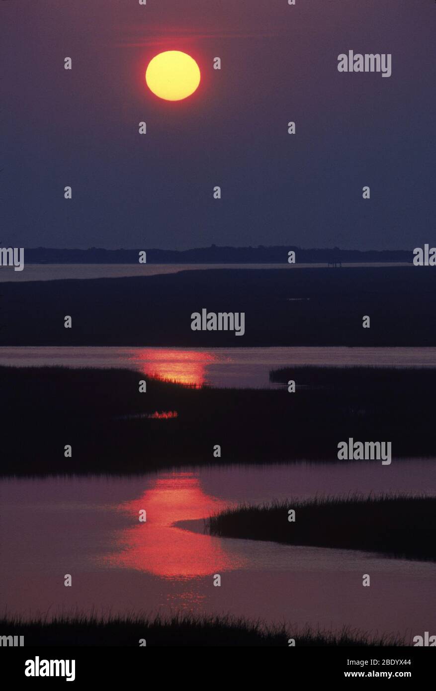 Marsh marshland hi-res stock photography and images - Alamy