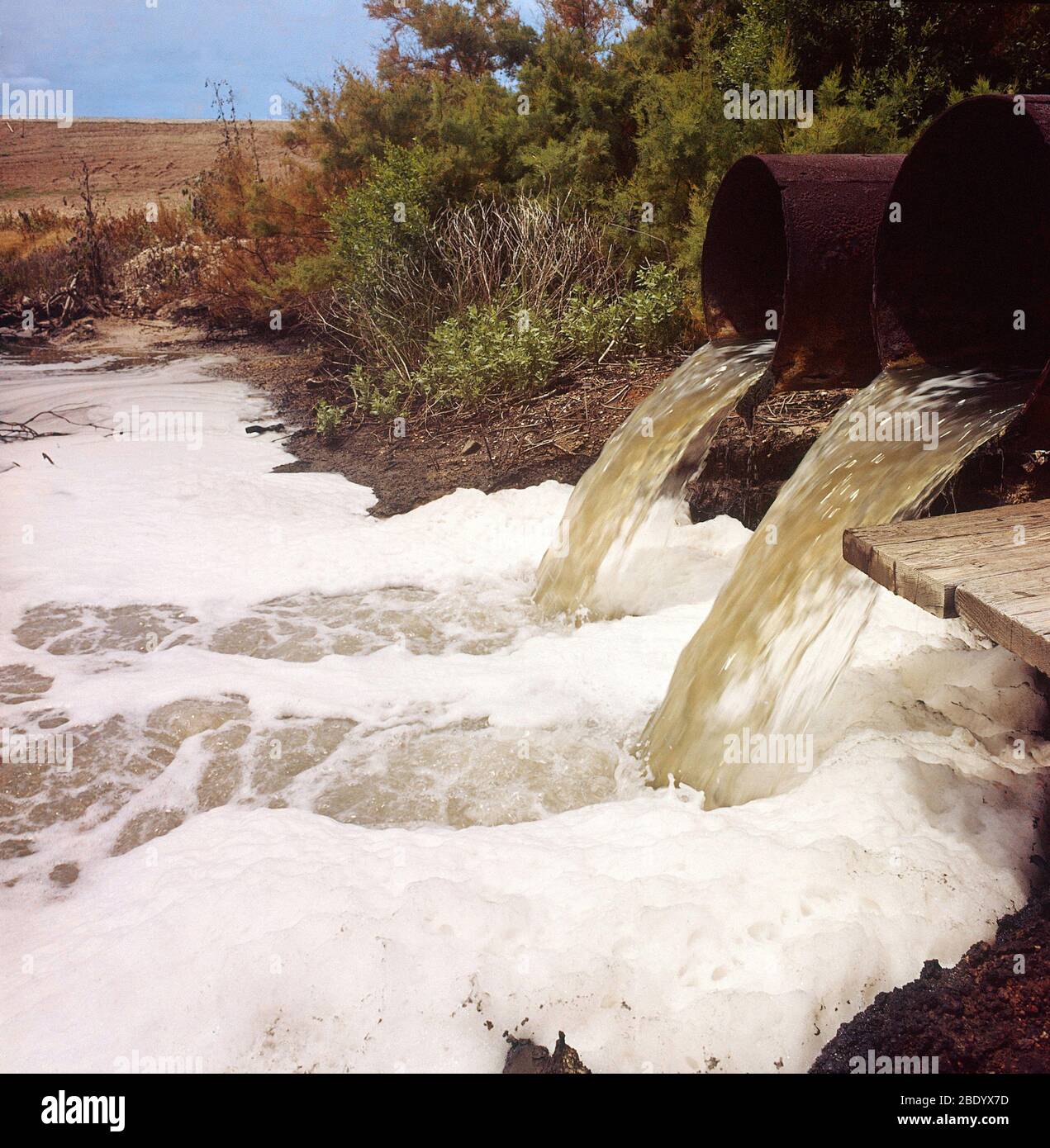 Polluted water hi-res stock photography and images - Alamy