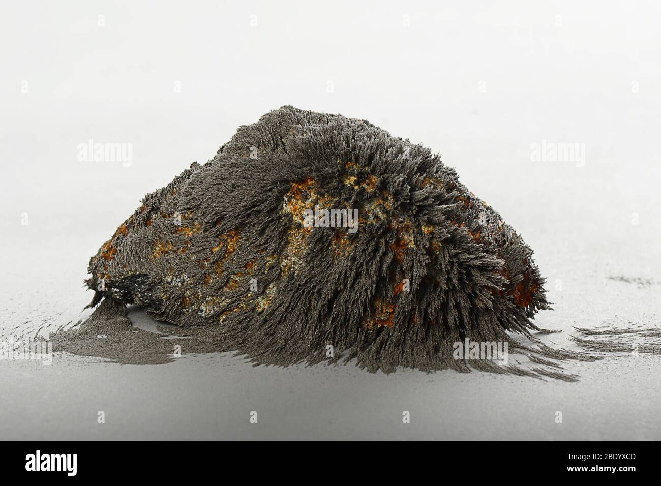 Magnetic mineral hi-res stock photography and images - Alamy