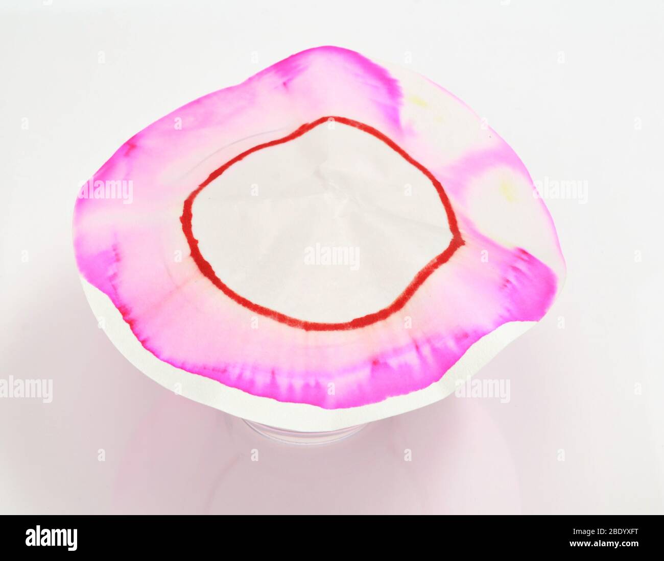 Chromatography flower hi-res stock photography and images - Alamy