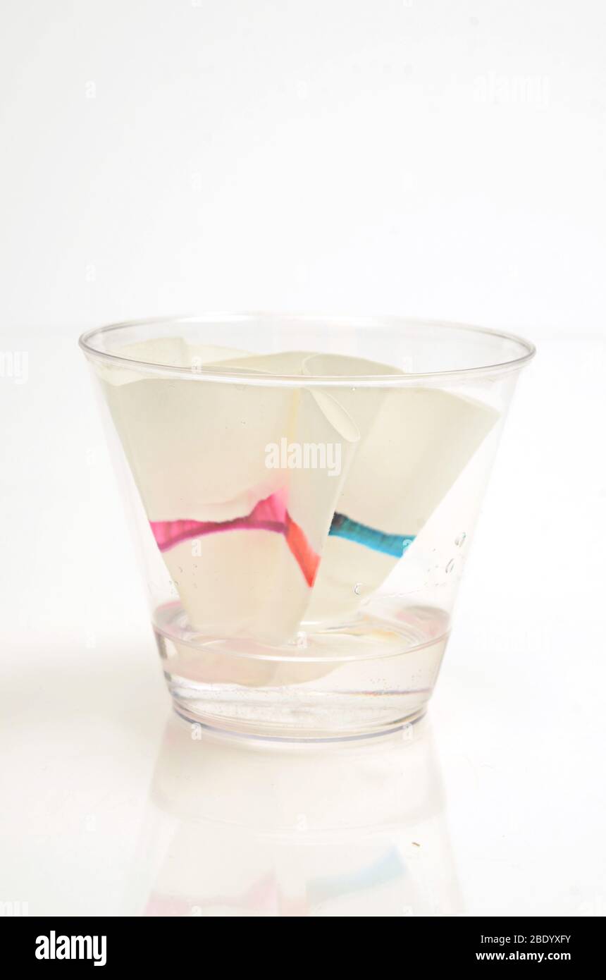 Chromatography flower hi-res stock photography and images - Alamy