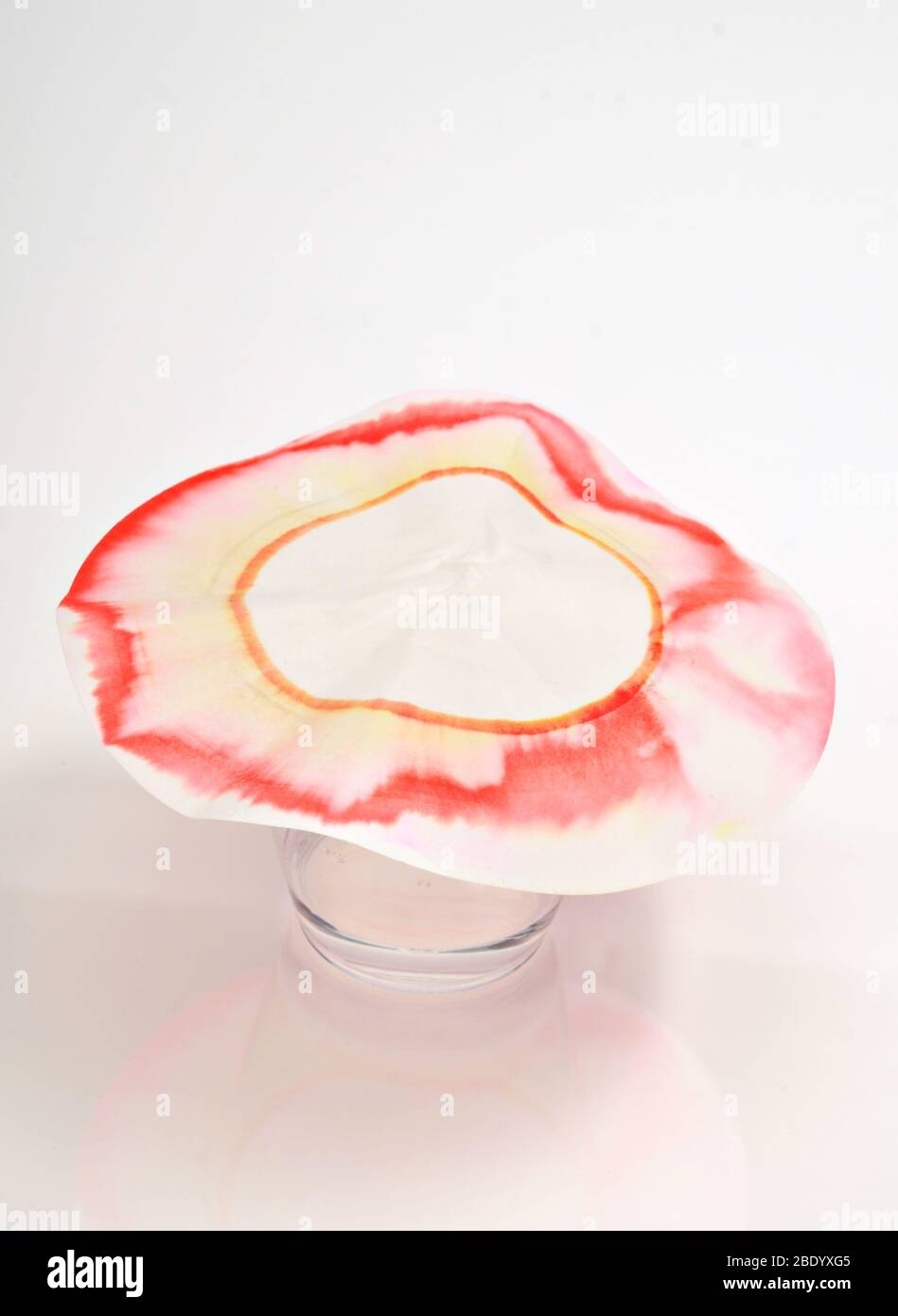 Chromatography flower hi-res stock photography and images - Alamy