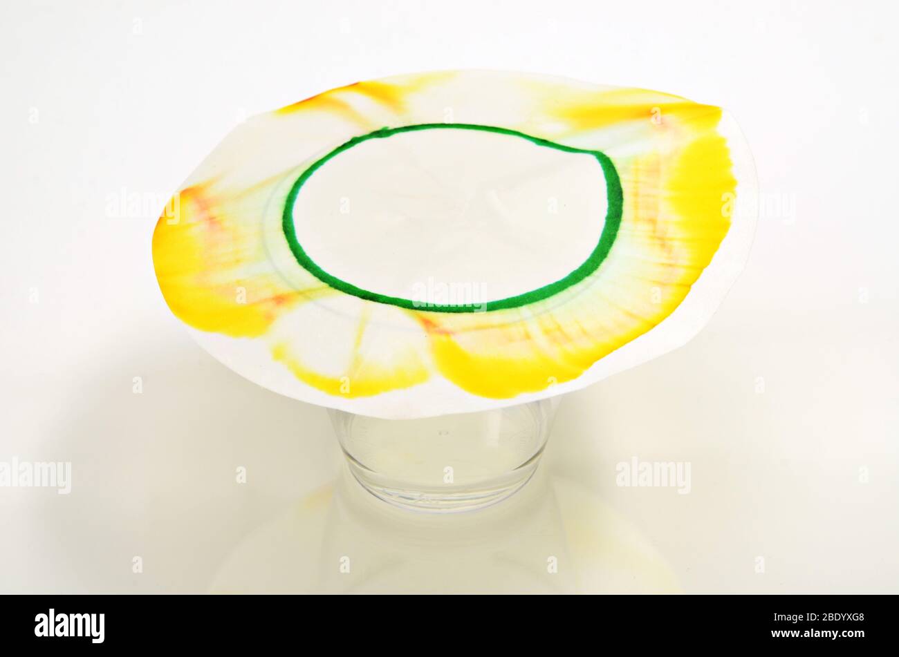Chromatography flower hi-res stock photography and images - Alamy