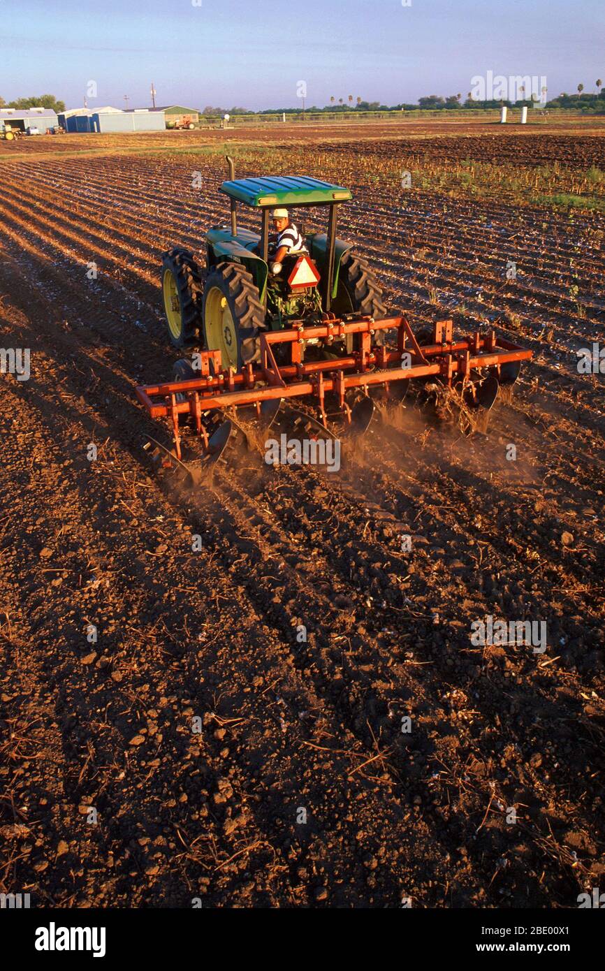 Stalk puller hi-res stock photography and images - Alamy