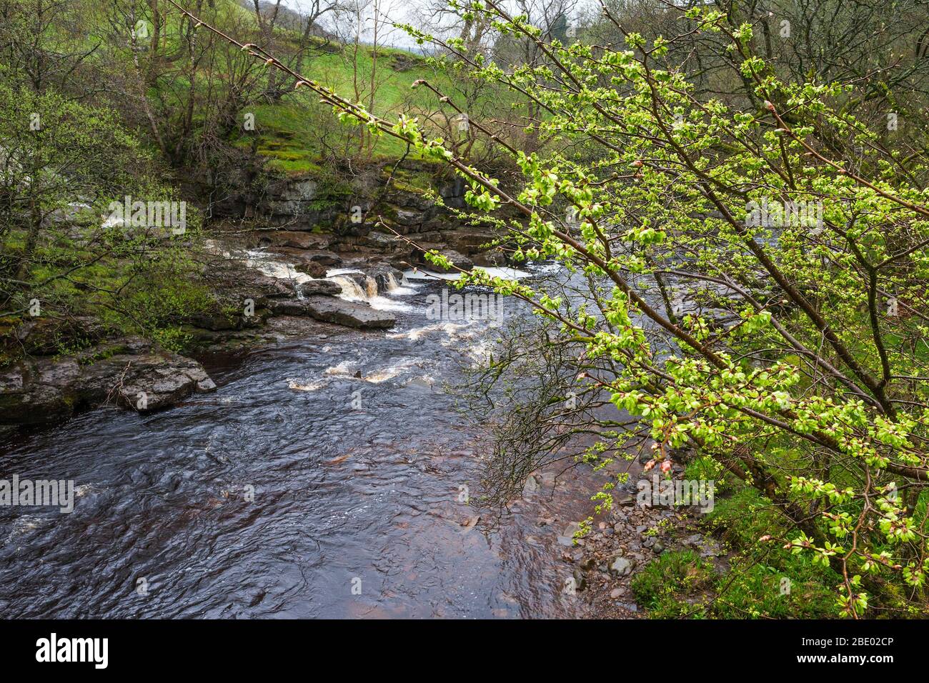 The River Swale at East Gill below Keld, Swaledale, North Yorkshire ...