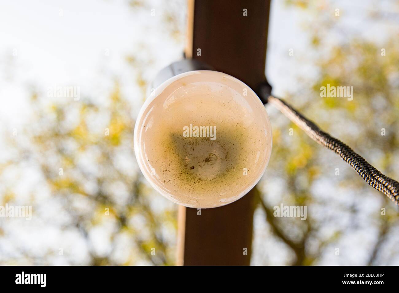 old dirty light bulb seen from below Stock Photo - Alamy