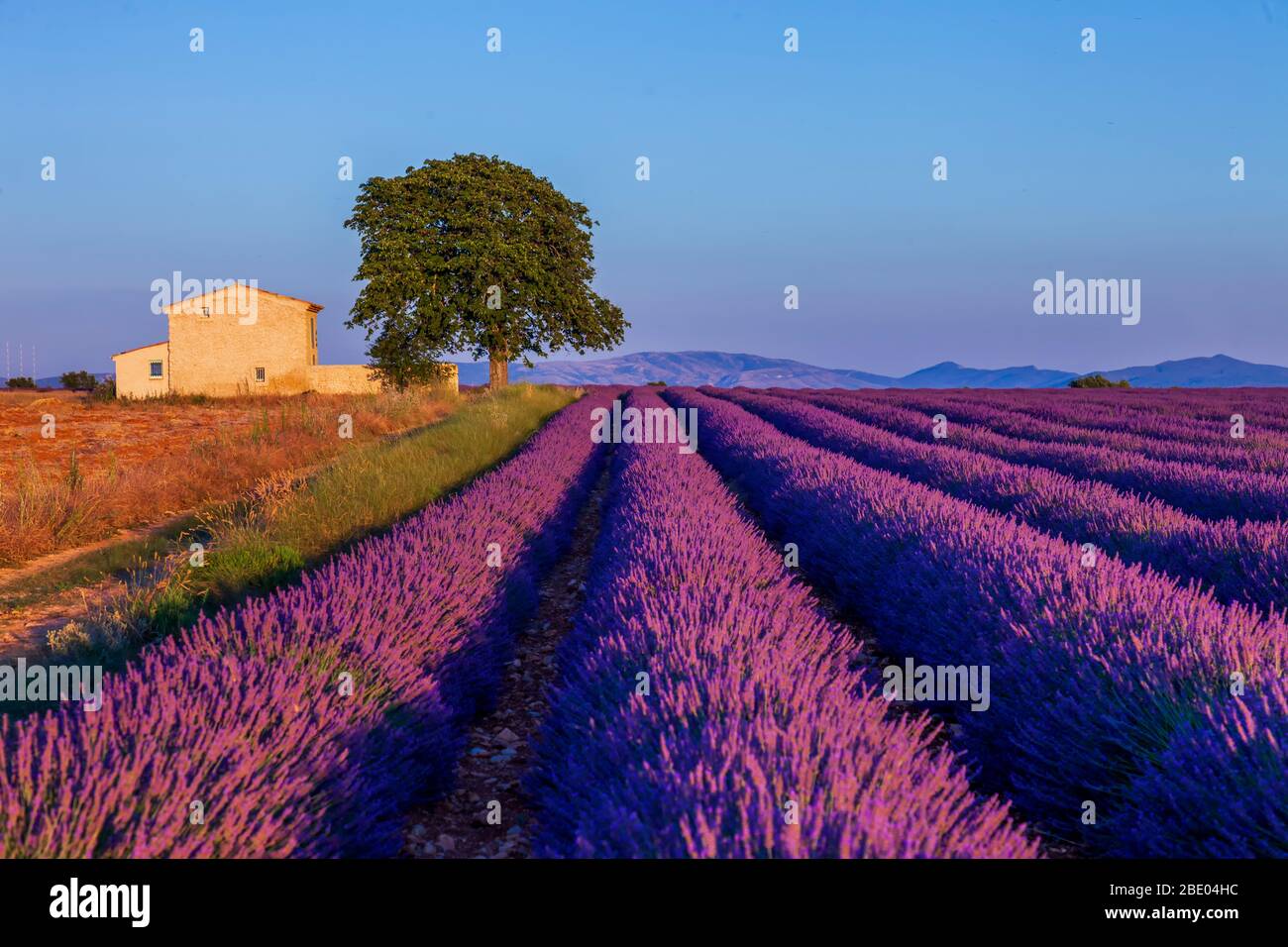 Tranquil summer in provence hi-res stock photography and images - Alamy