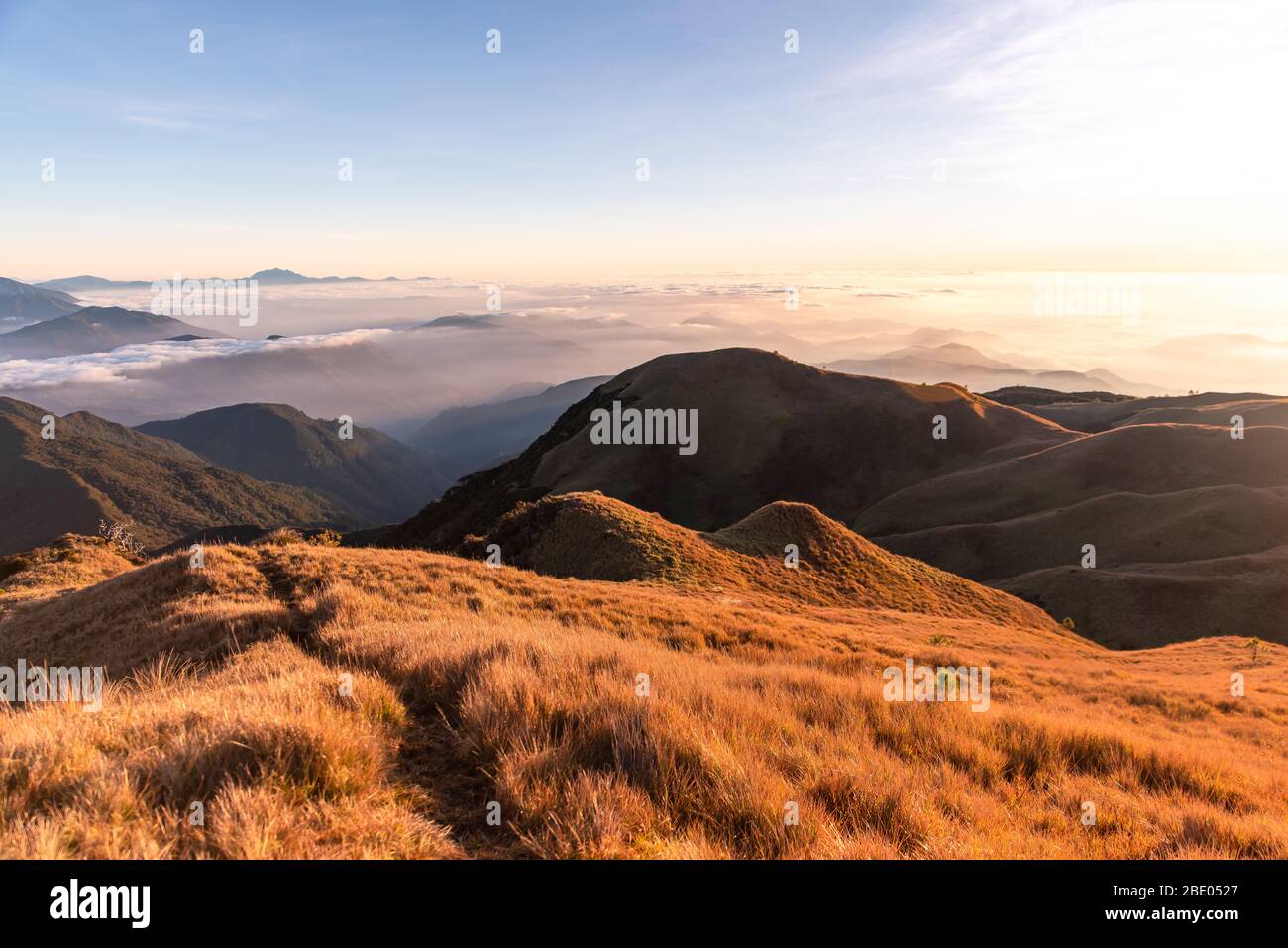 Mountain ridges of corrdillera from the summit of Mt. Pulag, Benguet ...
