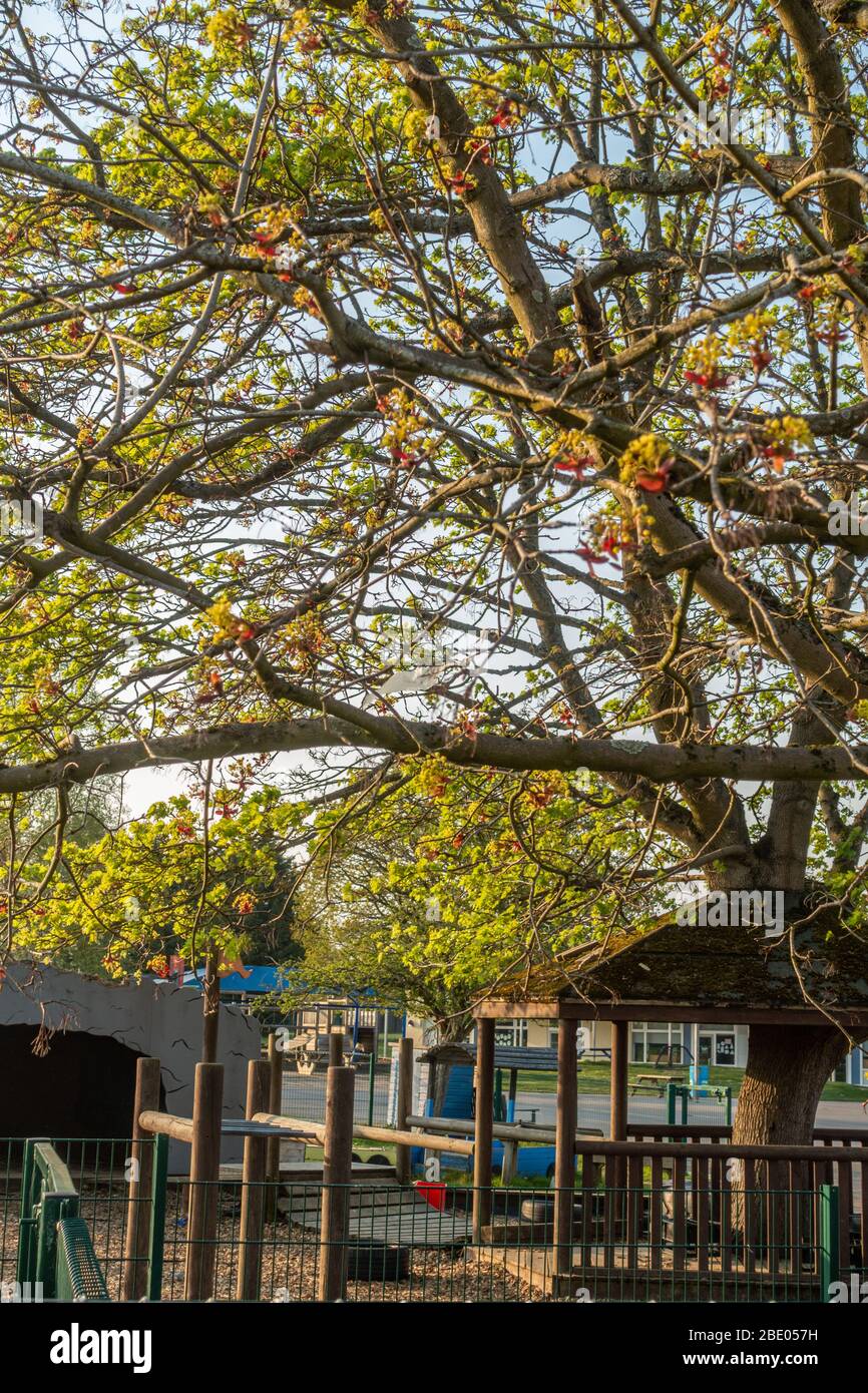 Outdoor education hi-res stock photography and images - Alamy