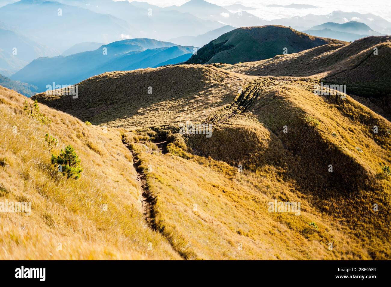 Mount pulag national park hi-res stock photography and images - Alamy