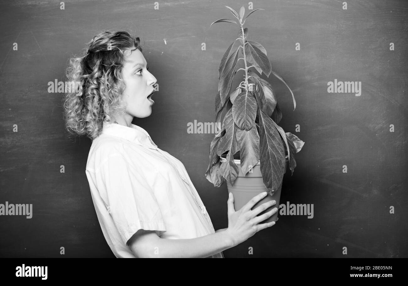 idea concept. school nature study. surprised student girl with plant at ...