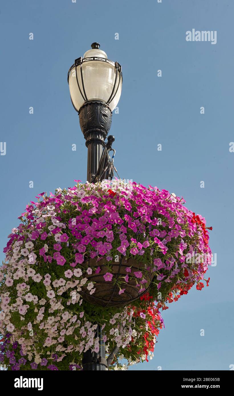 Lamp post hanging basket hi-res stock photography and images - Alamy
