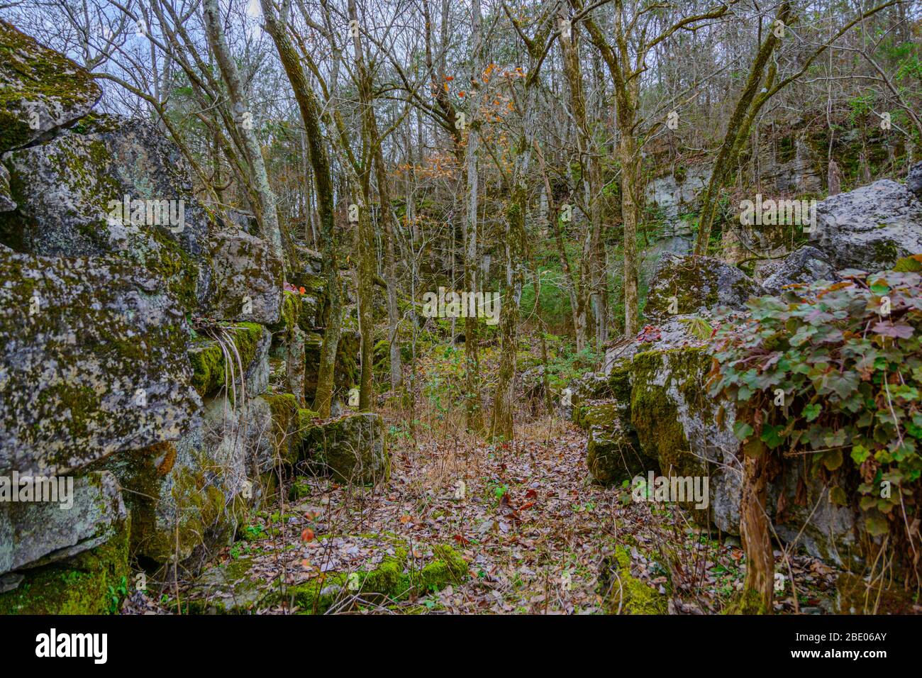 Historic rock quarry in Rome Tennessee that provided the stone to build ...