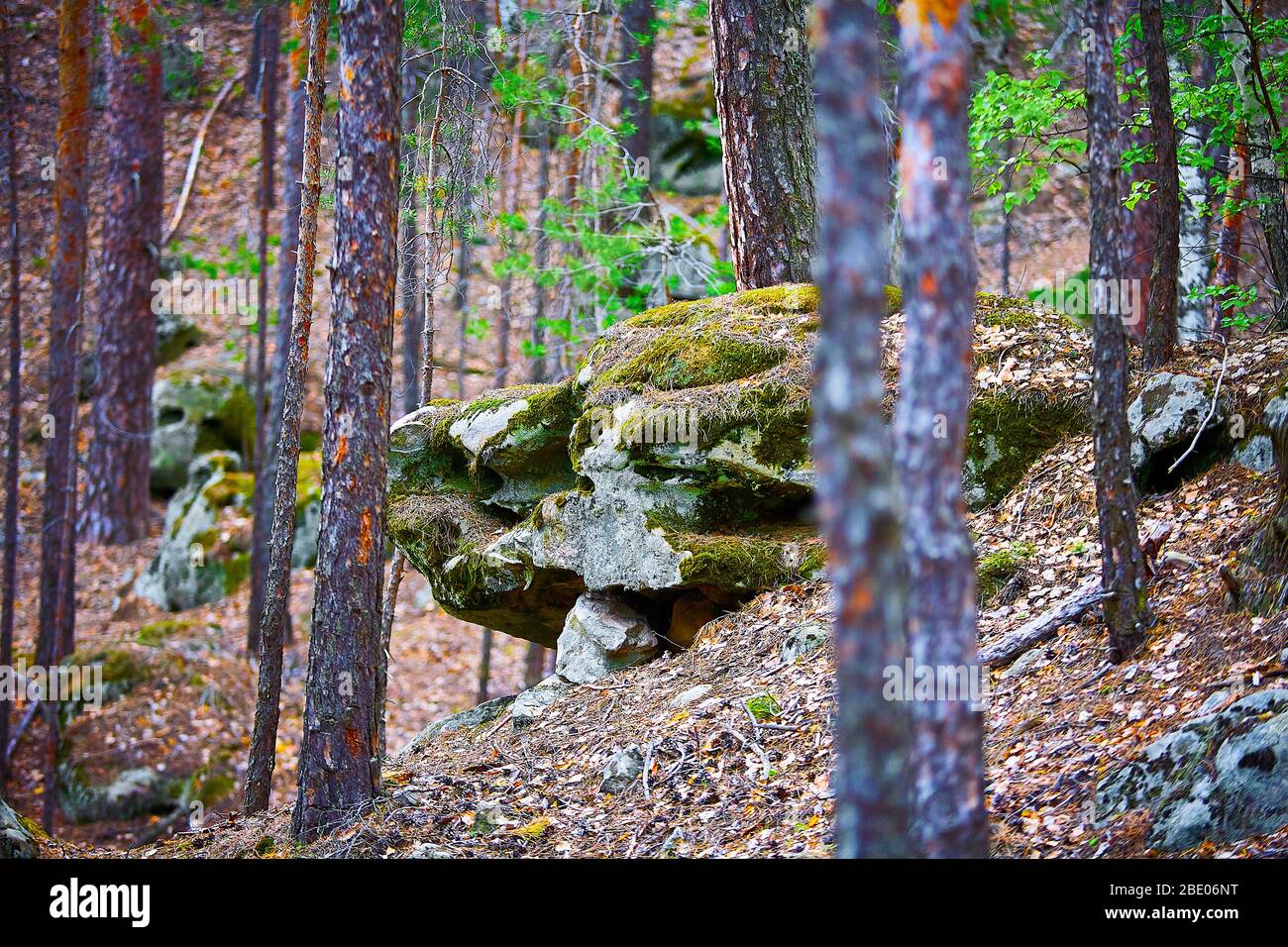 Stone mountain provincial park hi-res stock photography and images - Alamy