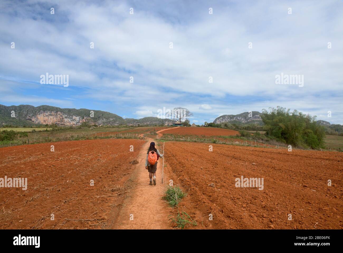 Beautiful cuban landscapes hi-res stock photography and images - Alamy