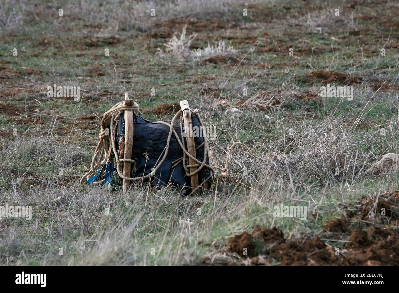 Donkey on the edge hi-res stock photography and images - Alamy