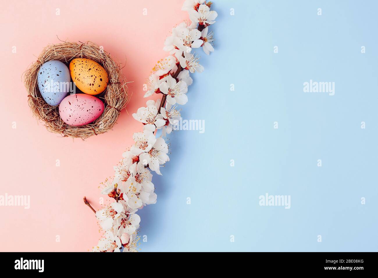 Beautiful pink blue background with spring blossom branches and Easter ...