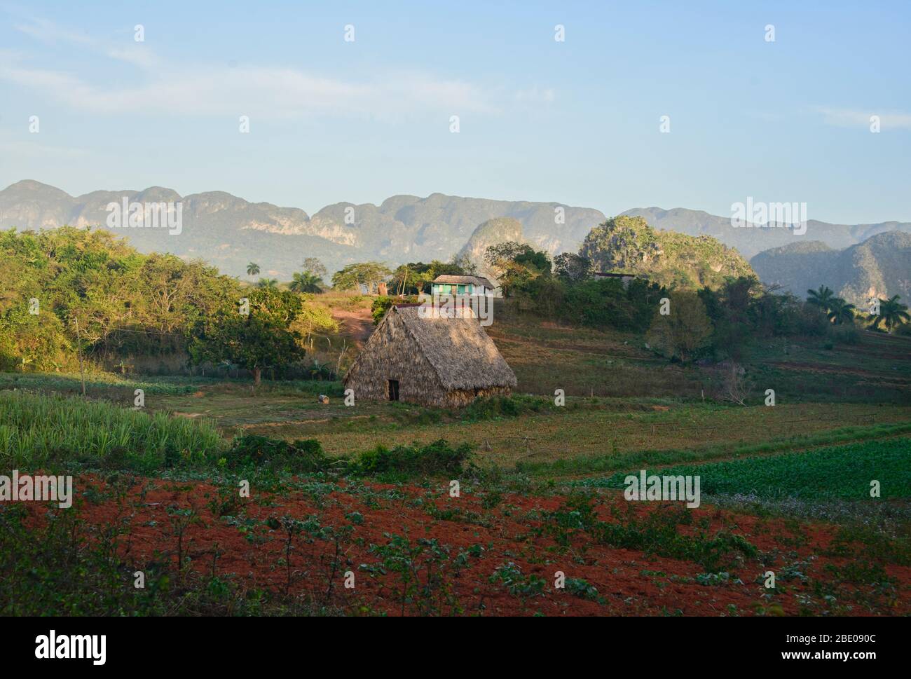 Cuban farming hi-res stock photography and images - Alamy