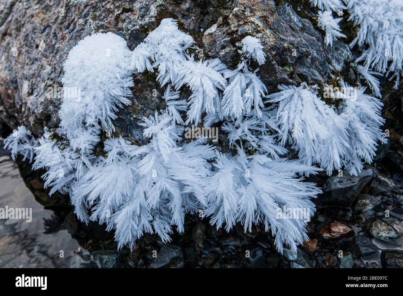 Bigfour hi-res stock photography and images - Alamy