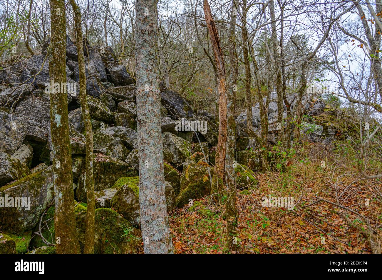 Historic rock quarry in Rome Tennessee that provided the stone to build ...