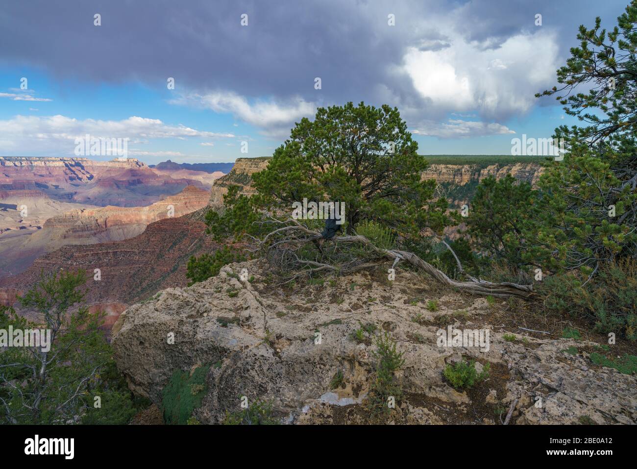 maricopa point on the rim trail at the south rim of grand canyon in ...