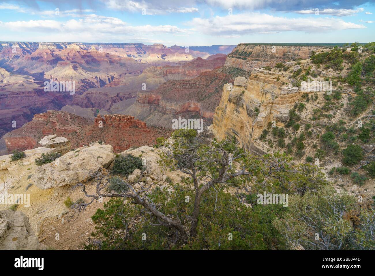 maricopa point on the rim trail at the south rim of grand canyon in ...