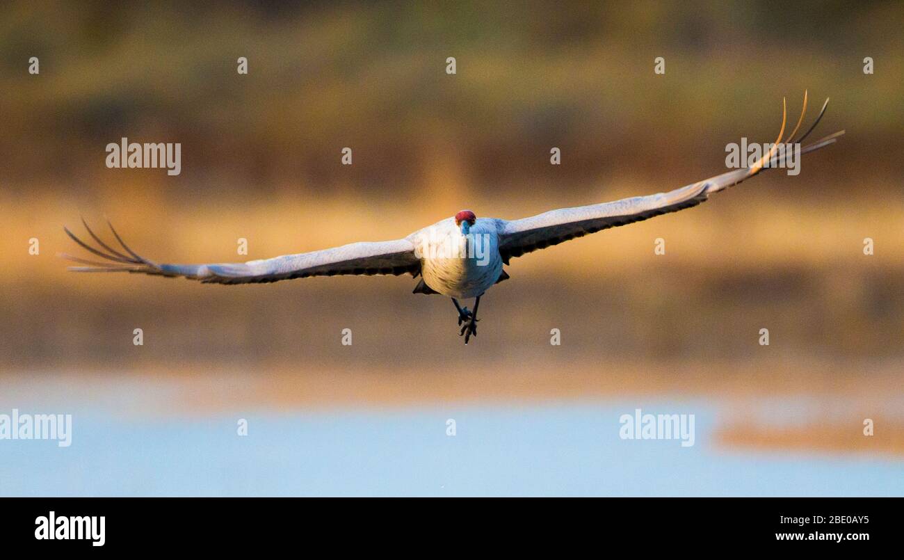 Camera crane hi-res stock photography and images - Alamy