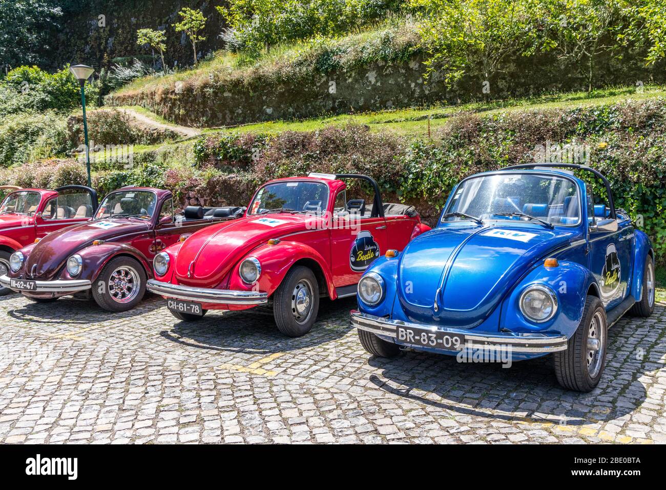Vw beetle hi-res stock photography and images - Alamy