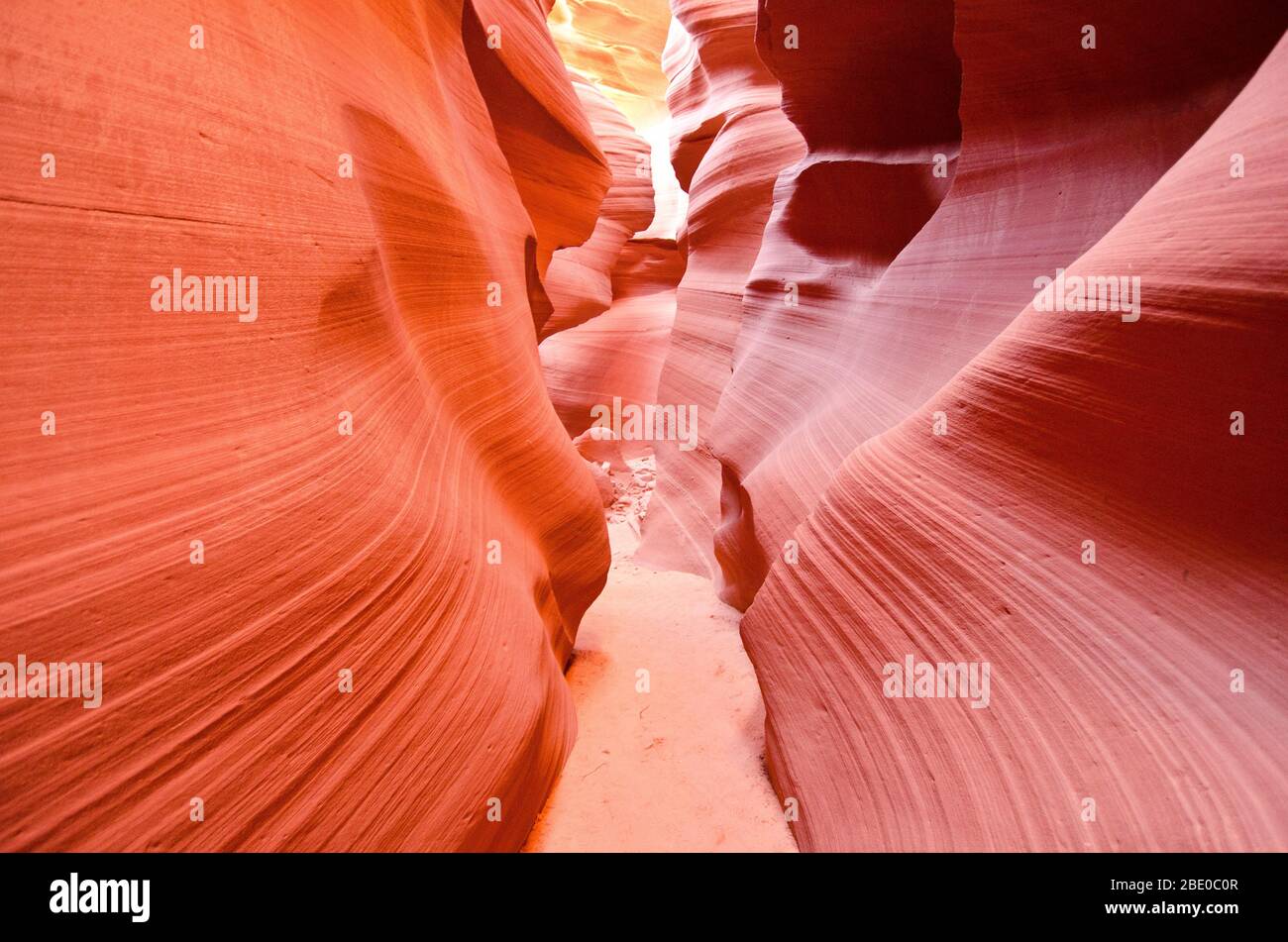 Beautiful Antelope Canyon Navajo Land East Of Page USA Stock Photo beautiful-antelope-canyon-navajo-land-east-of-page-usa-stock-photo