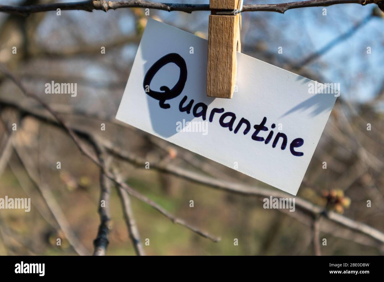 Quarantine word on white card hanging with wooden landry pin on sunny ...