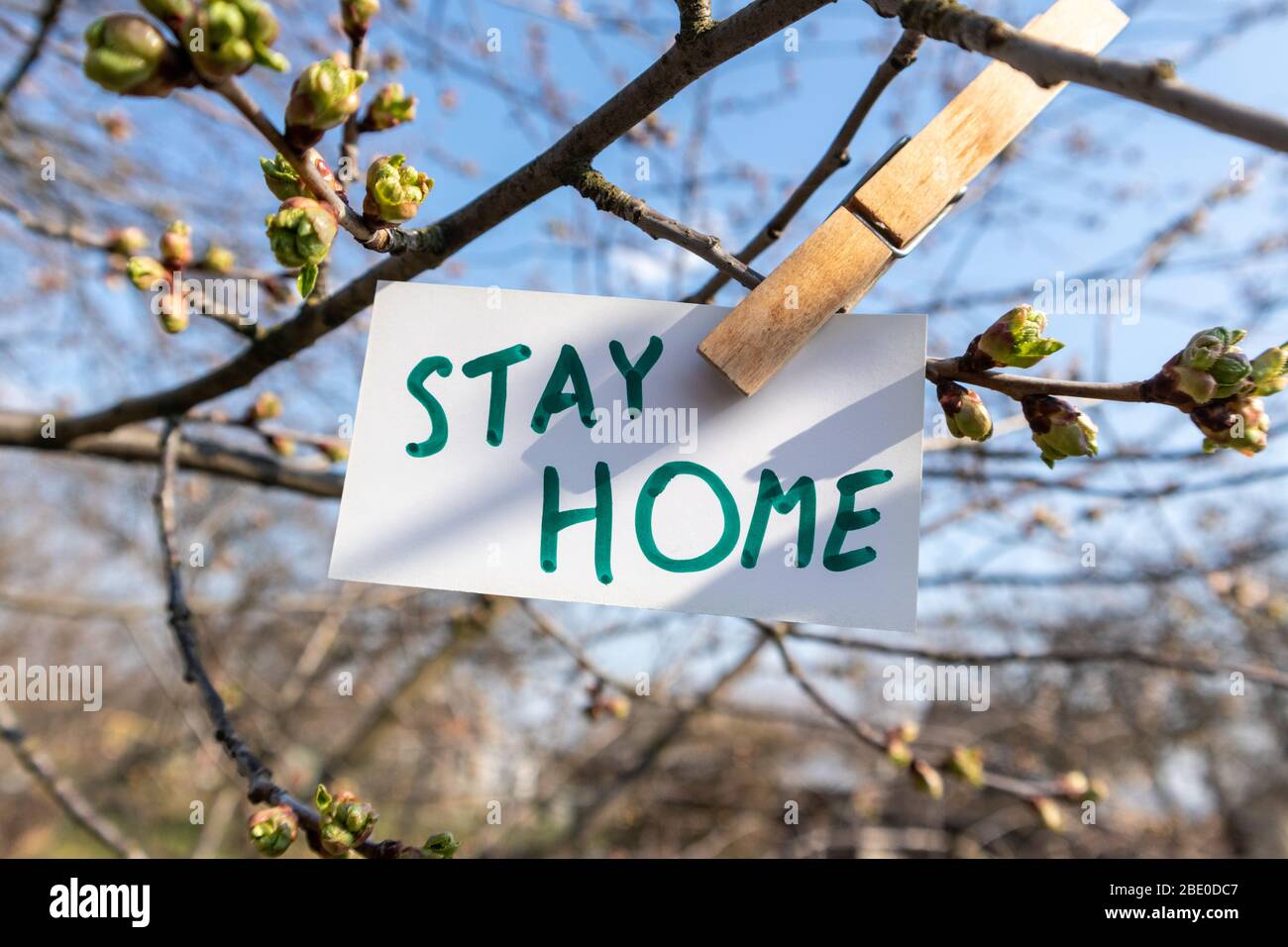 Stay home words on white card hanging with wooden landry pin on sunny ...