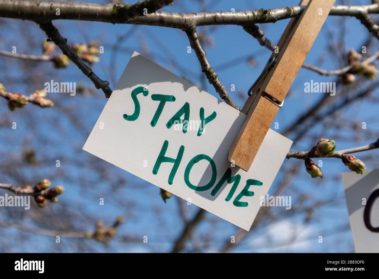 Stay home words on white card hanging with wooden landry pin on sunny ...
