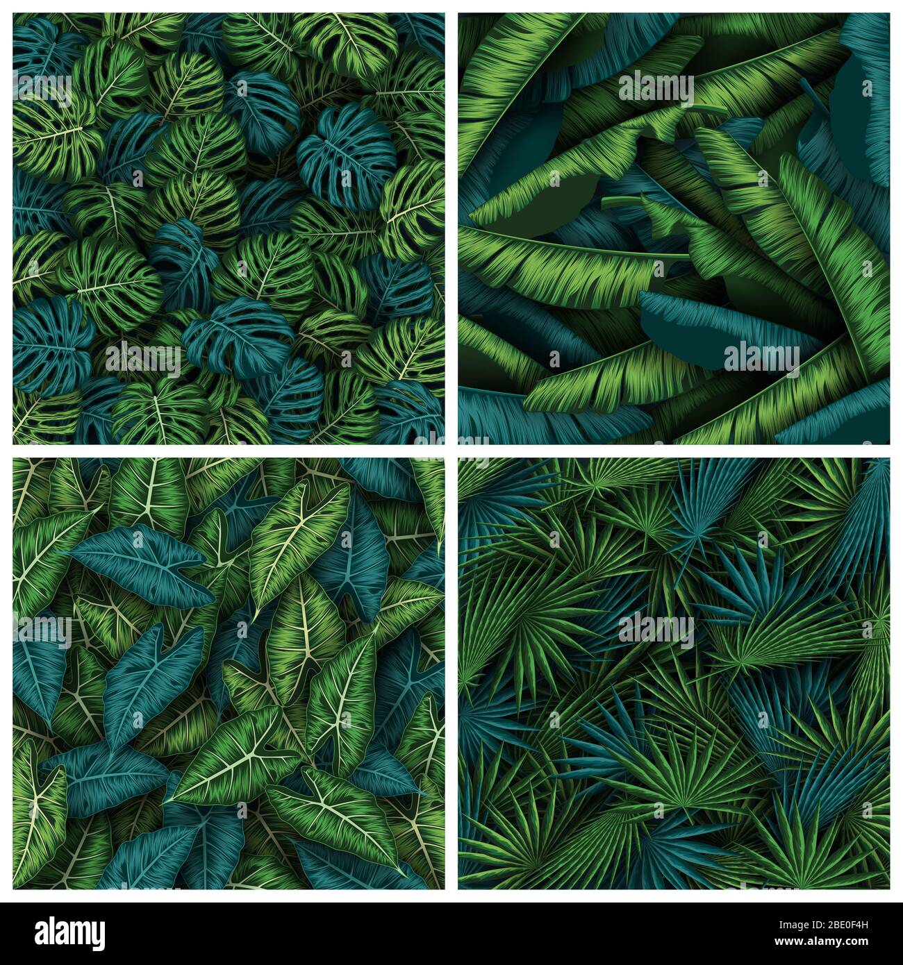 Hawaii jungle Cut Out Stock Images & Pictures - Alamy