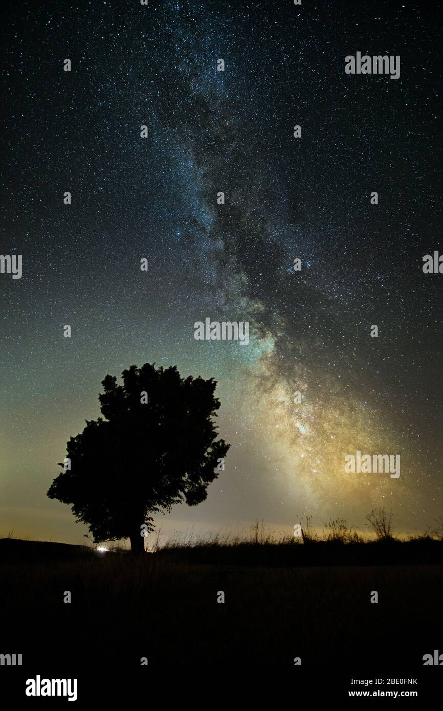 Milky way over tree in germany Stock Photo - Alamy