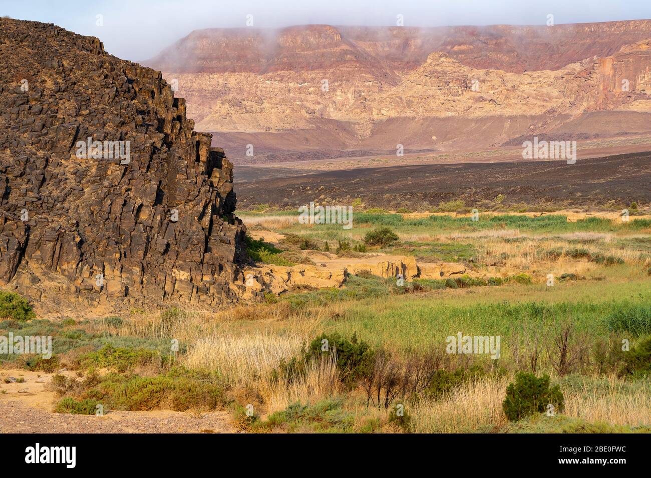 Grass grassy plain hi-res stock photography and images - Alamy