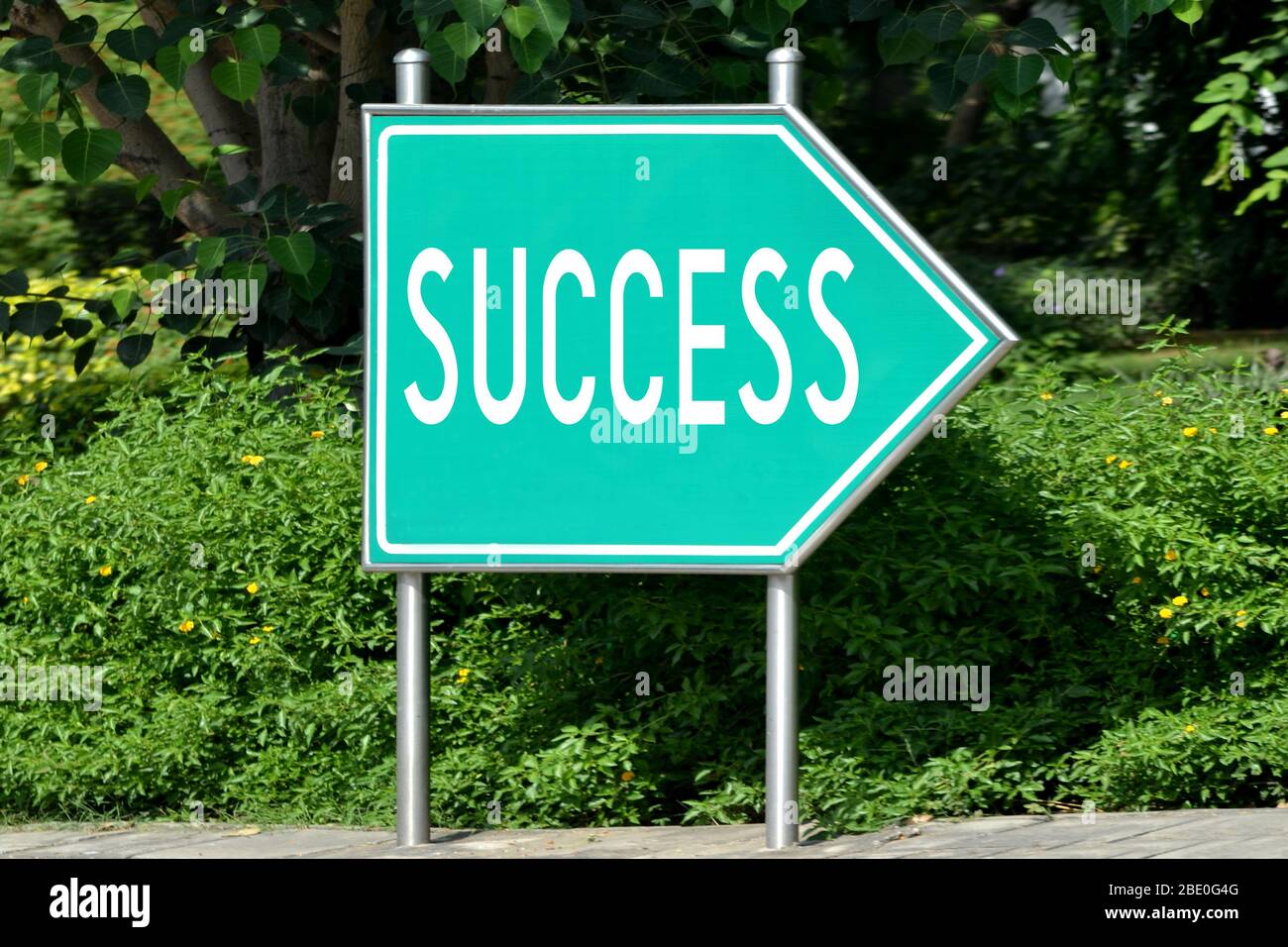 Green road sign - success Stock Photo - Alamy