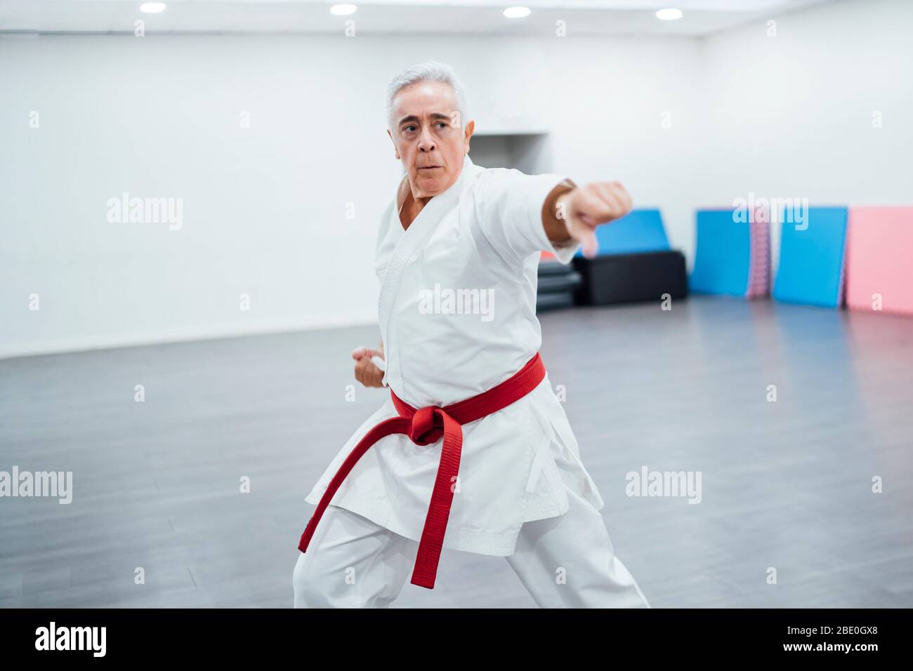 Karate master performing combat techniques Stock Photo - Alamy
