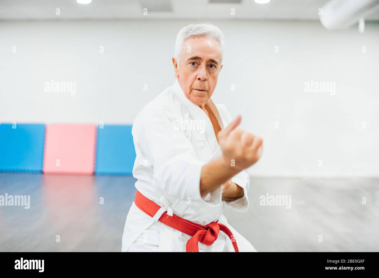 Karate master performing combat techniques Stock Photo - Alamy